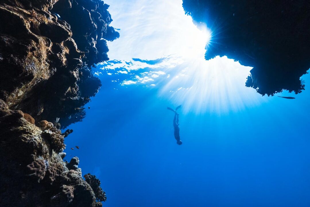 20 Interesting Facts About Swimming That Might Surprise You