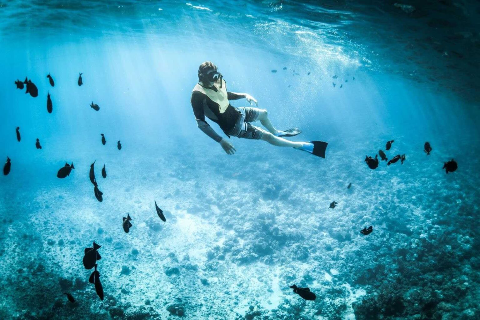 8 Essential Tips For Ocean Swimming