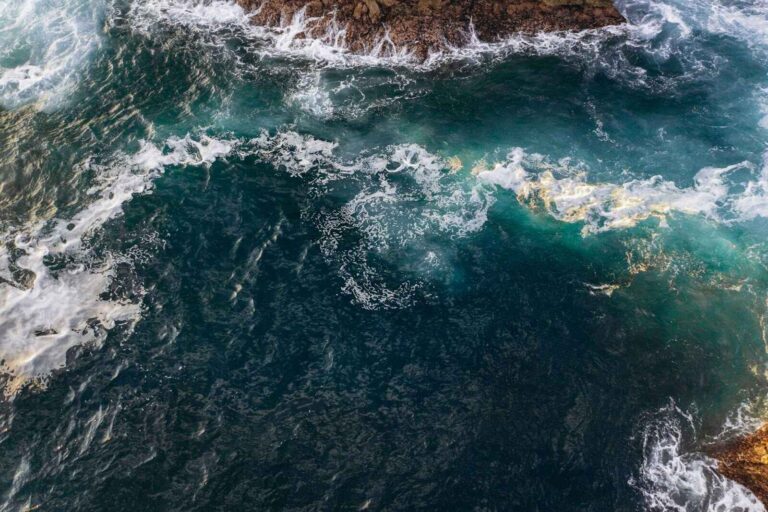 8 Essential Tips For Ocean Swimming